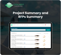 Collab P - Innovative IT Solutions Tailored for Your Needs
